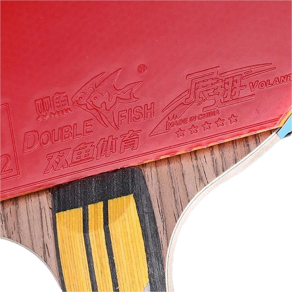 VỢT BÓNG BÀN DOUBLE FISH DF 6A+C 6AC CHÍNH HÃNG 1 VỢT KÈM 2 BÓNG – THỂ THAO PHƯỢNG SPORT