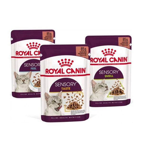 Pate Royal Canin Sensory Feline 85g – Pet's Home