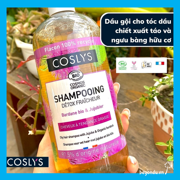 Dầu gội cho tóc dầu chiết xuất táo và ngưu bàng hữu cơ Coslys (500ml) – Beyond U