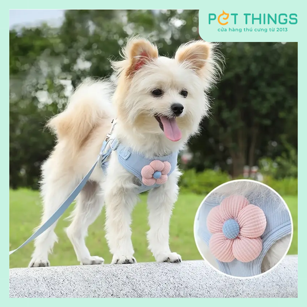 Bộ Dây Dắt + Yếm Hoa Cho Chó Mèo S/M/L – Pet Things