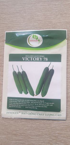 Dưa leo lai F1 INNO VICTORY 78 – Thế Giới Nông Nghiệp
