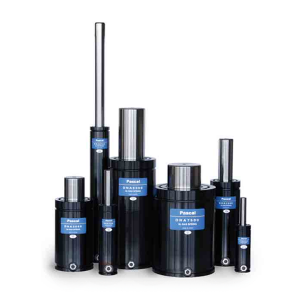 PASCAL-DNA – AZCOM