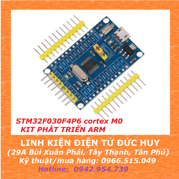 STM32F030F4P6 CORTEX-M0 board phát triển ARM – LINH KIỆN ĐIỆN TỬ ĐỨC HUY (29A BÙI XUÂN PHÁI)