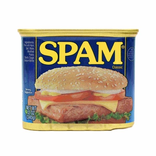 Thịt hộp SPAM Classic Mỹ 340g – Anbinh Store