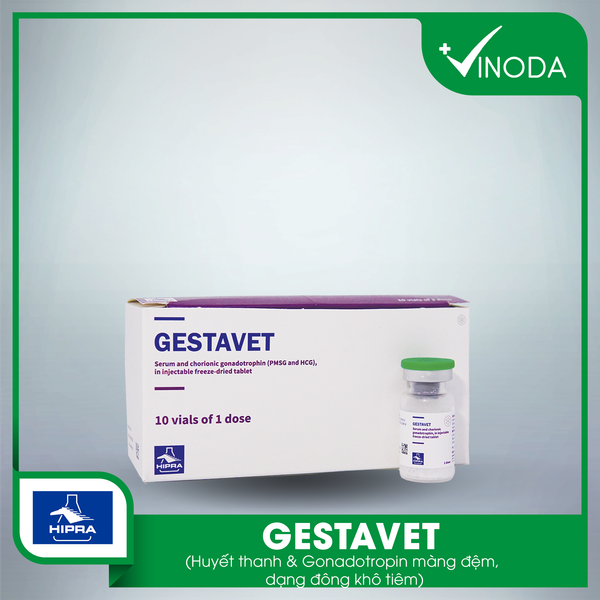 GESTAVET – Công ty TNHH Thương Mại VINODA