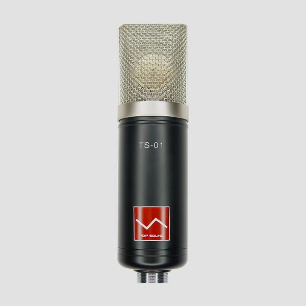 Micro thu âm TOP SOUND TS01 - Microphone thu âm livestream TS-01