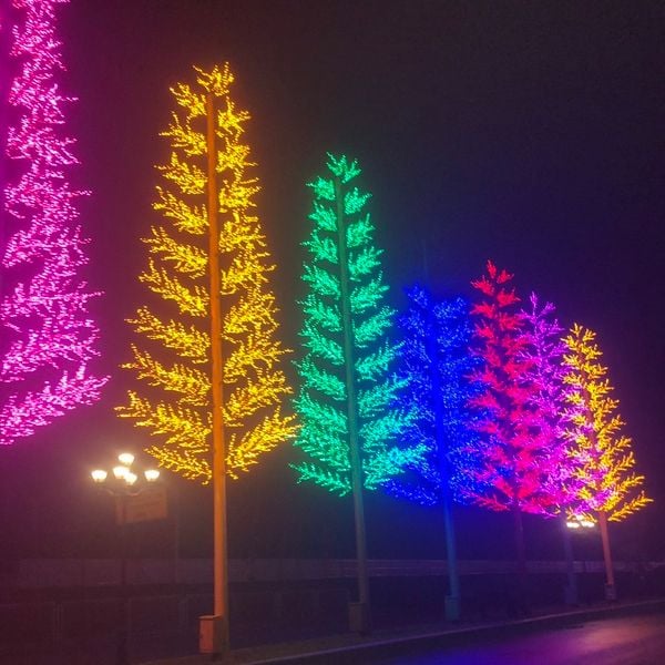 HOA LED TRANG TRÍ ĐÔ THỊ, CÔNG VIÊN, SÂN VƯỜN – EDISUN