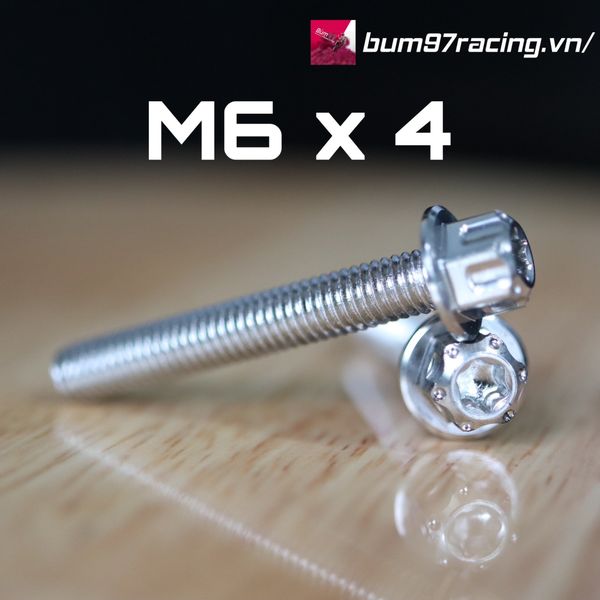 Ốc Salaya M6 x 4 Đầu Probol