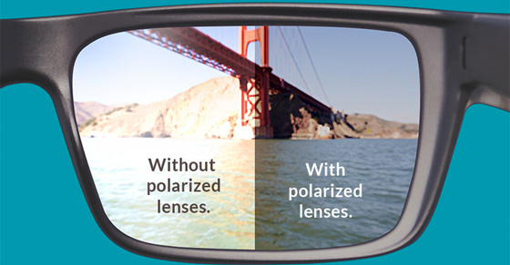 Mắt kính phân cực Polarized là gì?
