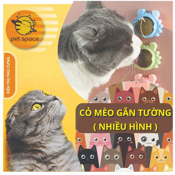 Cỏ mèo catnip/Catmint dạng viên gắn lên tường cho mèo – Petspace.vn