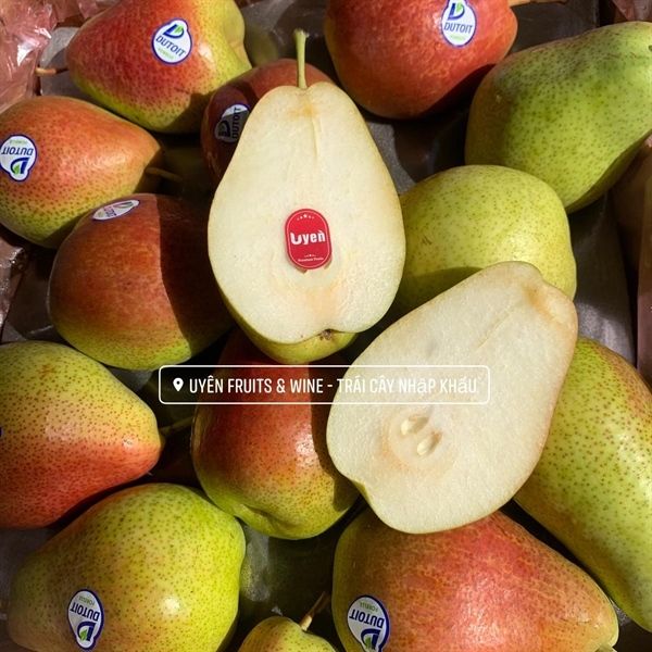 Lê Nam Phi – Morning Fruit - Trái Cây Chất Lượng Cao