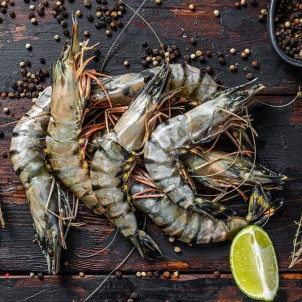 Frozen Black Tiger Prawn Việt Nam | Tôm sú Việt Nam – PGF ASIA