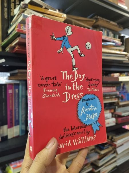 The Boy In The Dress - David Walliams – Momo Bookstore