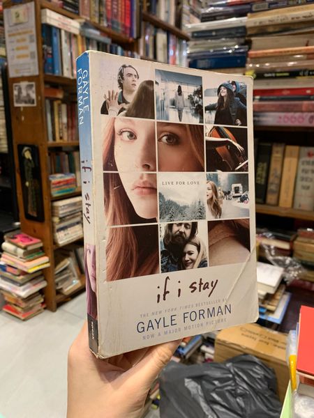 If I Stay - Gayle Forman – Momo Bookstore