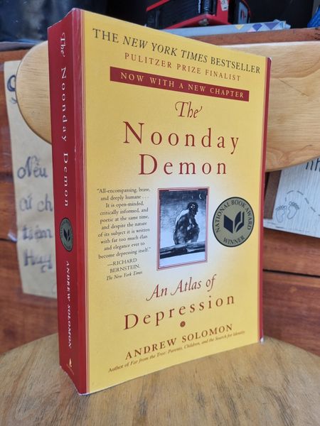 THE NOONDAY DEMON - AN ATLAS OF DEPRESSION - ANDREW SOLOMON – Momo ...