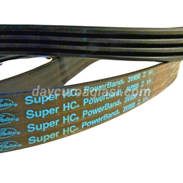 Dây curoa 3V950 – daycuroagiasi.com