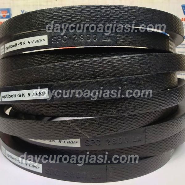 Dây curoa SPC 2800 – daycuroagiasi.com