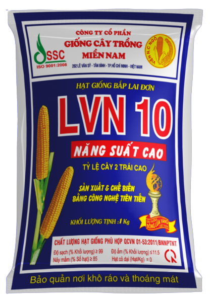 Hạt giống ngô lai LVN10 – Hạt giống Trường Phúc