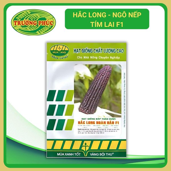 Hắc Long - Ngô nếp tím lai F1 (50g) – Hạt giống Trường Phúc