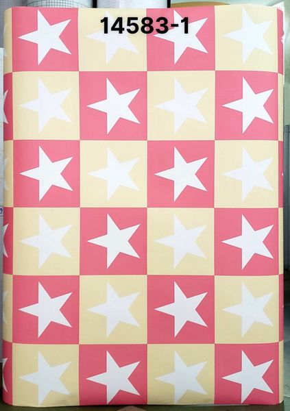 14583-1 – SHIN LUNG