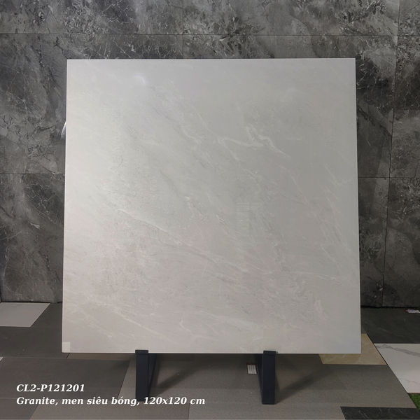 Gạch Viglacera 120x120 CL2-P121201 – Đức Việt Ceramic