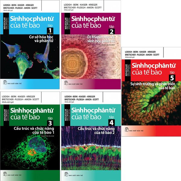 Combo 5 Quyển Sinh Học Phân Tử Của Tế Bào – Bến Nghé Books