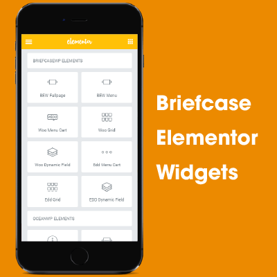 Briefcase Elementor Widgets_039.247.8393 – Core Media