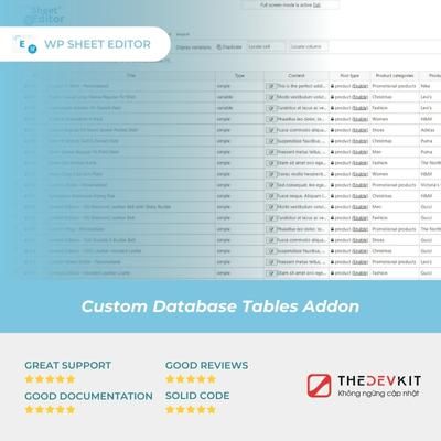 WP Sheet Editor Custom Database Tables_039.247.8393 – Core Media