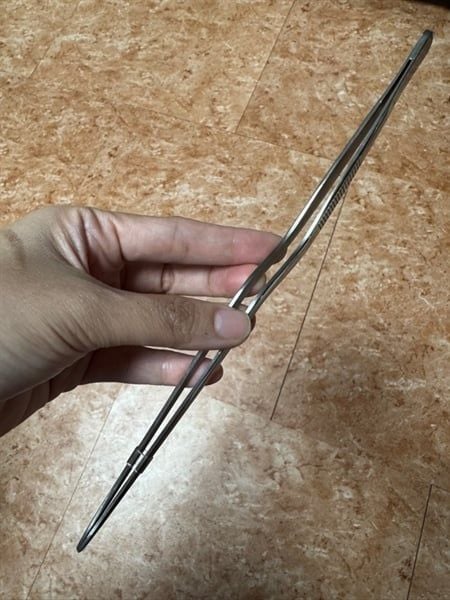 Nhíp cong 304 24cm – B&B Supplier