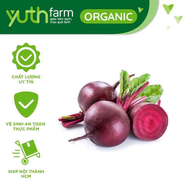 Củ Dền Yuth Farm And Foods