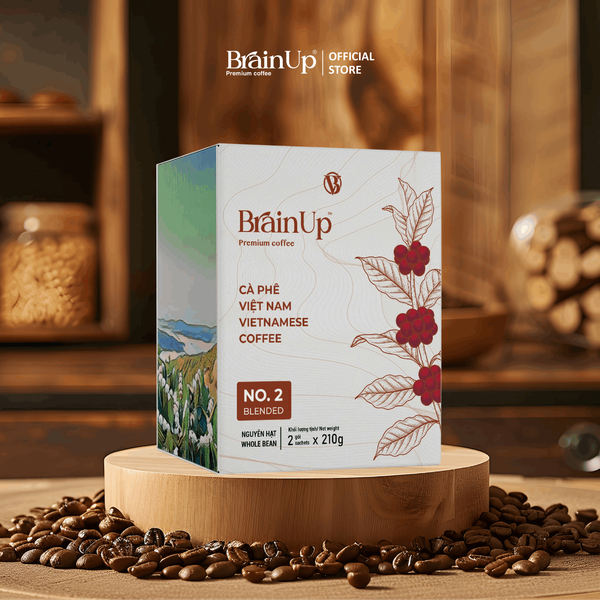 Brainup 2 – BRAINUP