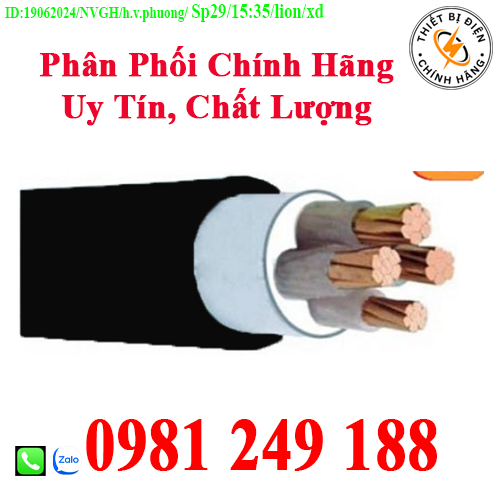 Lion CVV/DSTA-4x50 - 0.6/1kV : Cáp điện lực hạ thế, ruột đồng, CVV/DST – thietbidienchinhhang