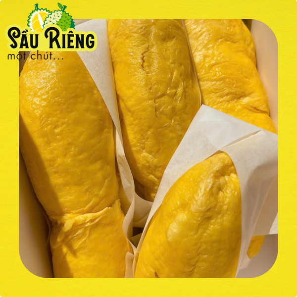 RiKing VietGap – Một Chút Sầu Riêng