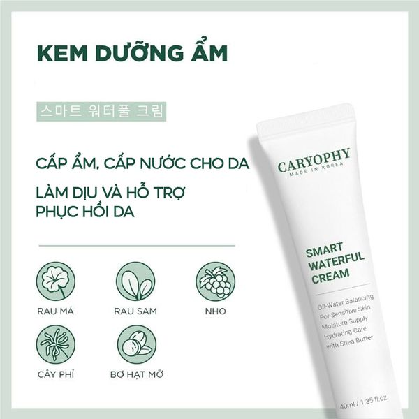CARYOPHY – THẾ GIỚI SKINFOOD