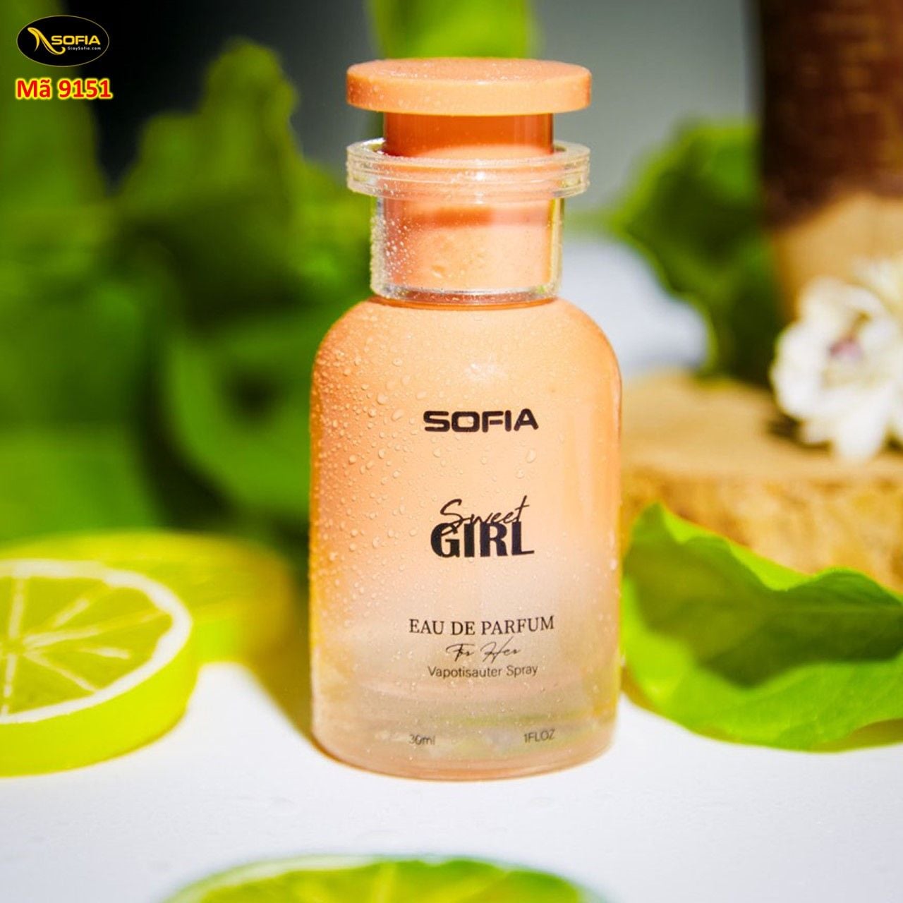 Nước Hoa Sweet Girl SOFIA 9151