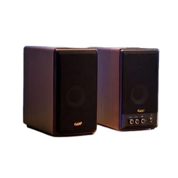 Loa Goldsound GS51 Pro 1 – Loa thông báo phát nhạc nền, loa nhà hàng, Loa quán cafe, Loa hội ...