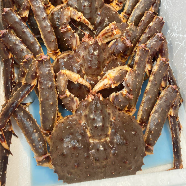 Cua Hoàng Đế Alaska - Cua KingCrab - Giao Sống Trong 2H – DAOHAISAN