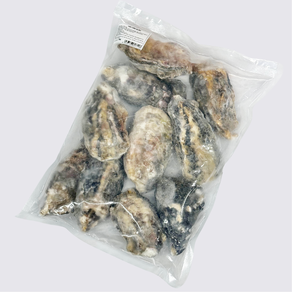 Hàu Hàn Quốc Mọng Sữa Size 10-12 con/túi 1kg【Giao Hàng Nhanh 2H】 – DAOHAISAN