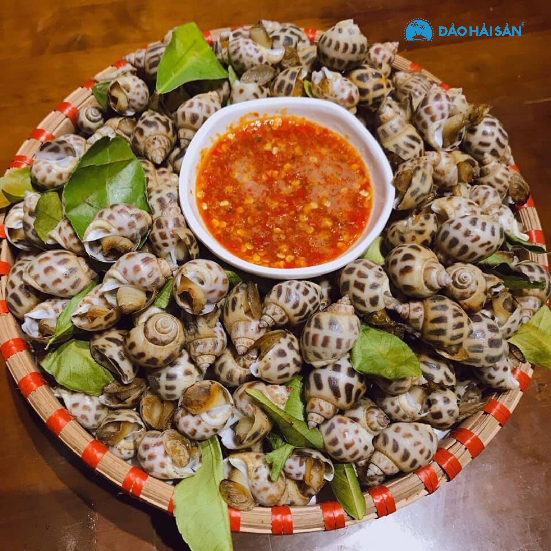 Ốc Hương (Size 80 - 100 con 1Kg) Về Mỗi Ngày【Giao Nhanh 2H】 – DAOHAISAN