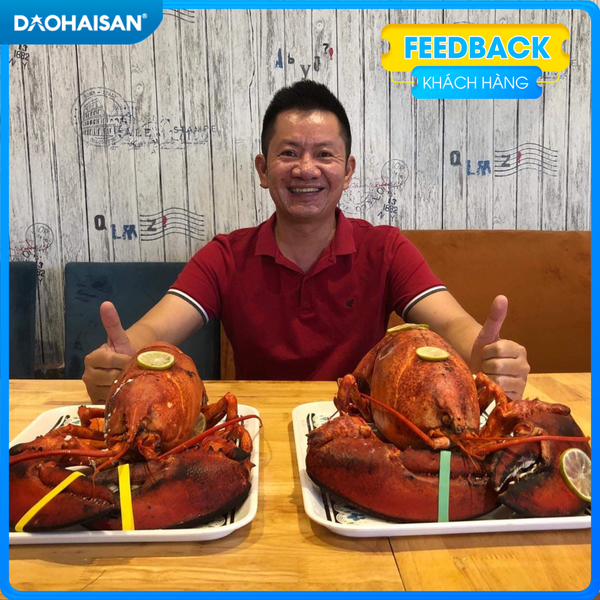 Tôm Hùm Alaska giá cập nhật MỚI | Giao hàng nhanh trong 2H – DAOHAISAN