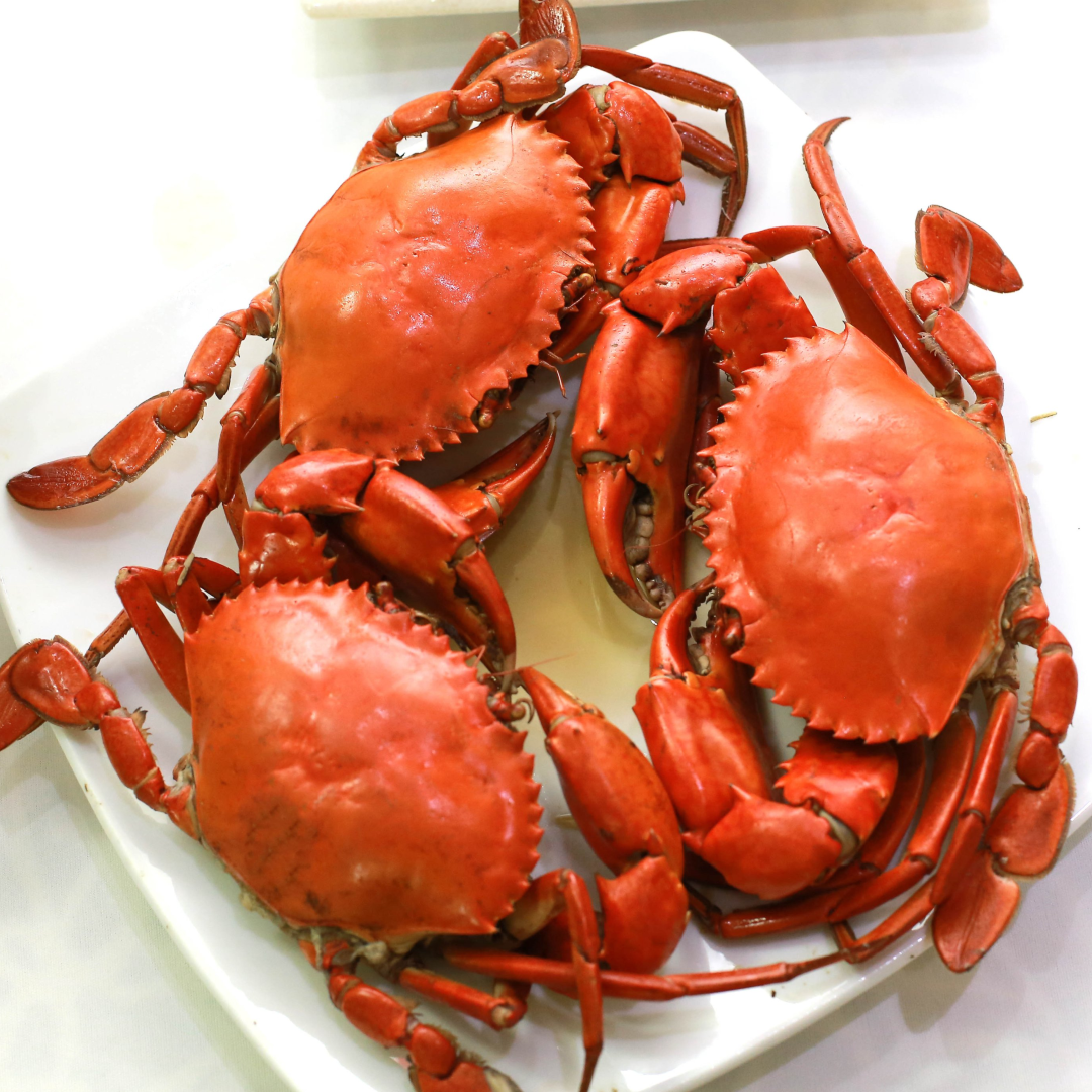 Cua Thịt Cà Mau Size 3 con/kg. Chắc Thịt - Giao Trong 2H – DAOHAISAN