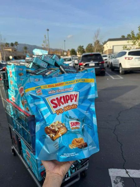 Bánh chocolate sữa nhân bơ đậu phộng Skippy PB Minis Milk Chocolate – EDS