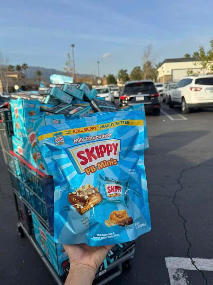 Bánh chocolate sữa nhân bơ đậu phộng Skippy PB Minis Milk Chocolate – EDS