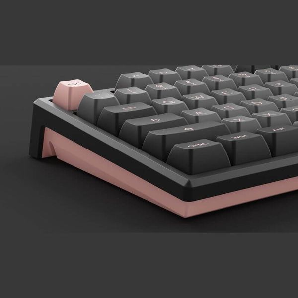 Bàn Phím Cơ Có Dây - Akko MonsGeek MG108 Black Pink / RGB / AKKO Switc ...