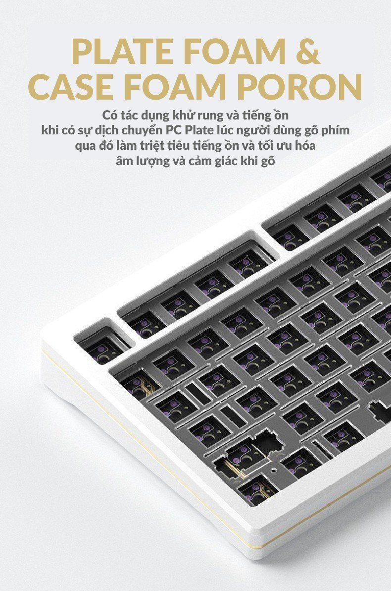 Kit AKKO Designer Studio – MOD007v3 (Flex-cut / Gasket mount / South-F - Thế Giới Gear PC ...