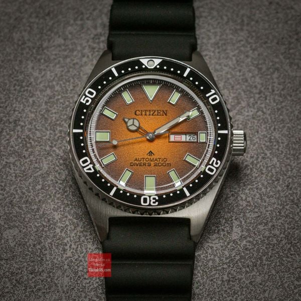 Đồng hồ nam Citizen Promaster Diver automatic NY0120-01Z - Tiktakus