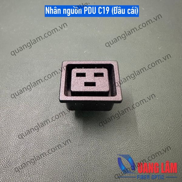 Nhân C19 Female dùng cho PDU – Công ty TNHH Công Nghệ Quang Lâm