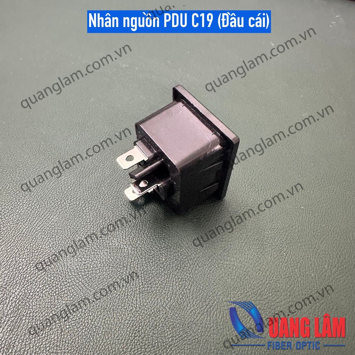 Nhân C19 Female dùng cho PDU – Công ty TNHH Công Nghệ Quang Lâm