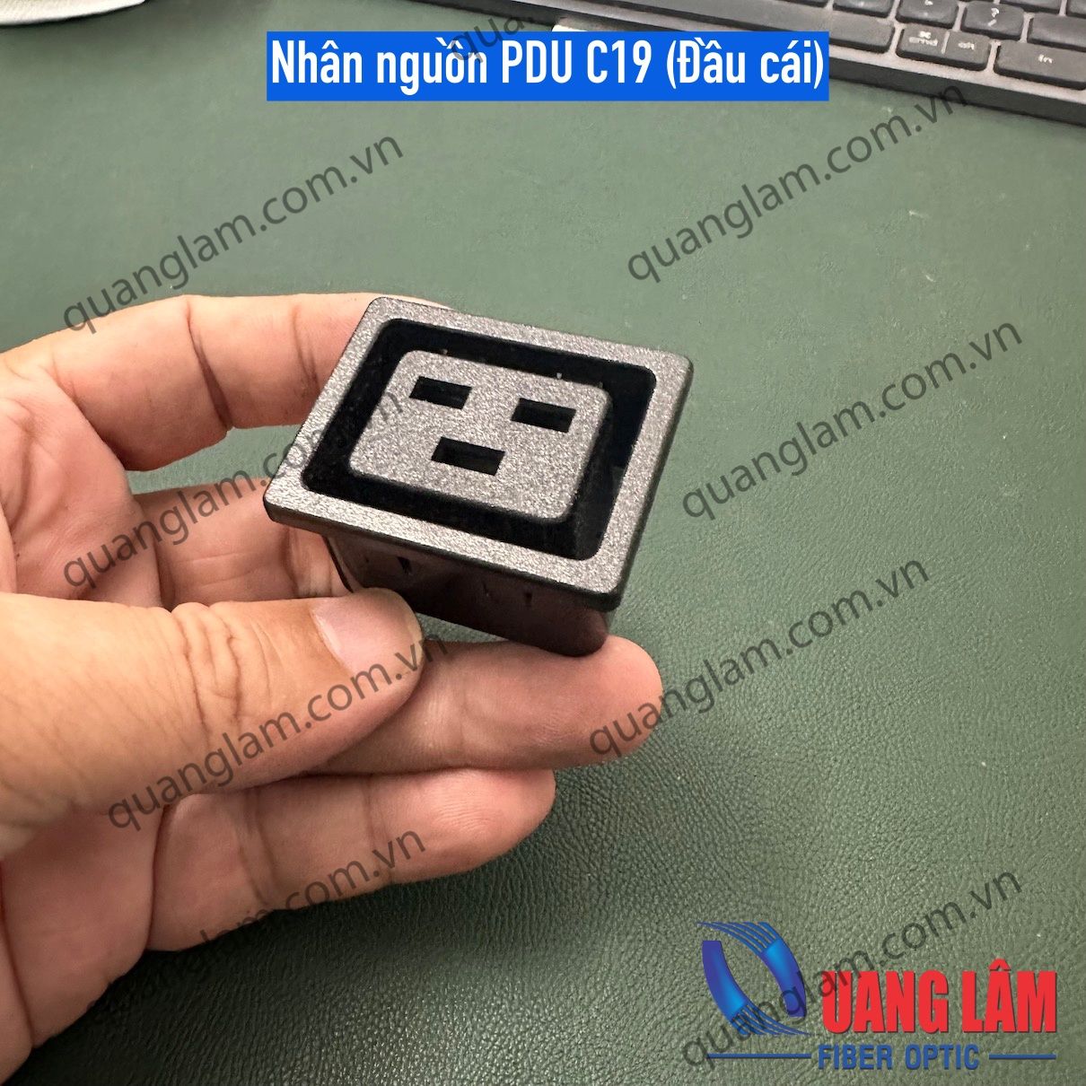 Nhân C19 Female dùng cho PDU – Công ty TNHH Công Nghệ Quang Lâm
