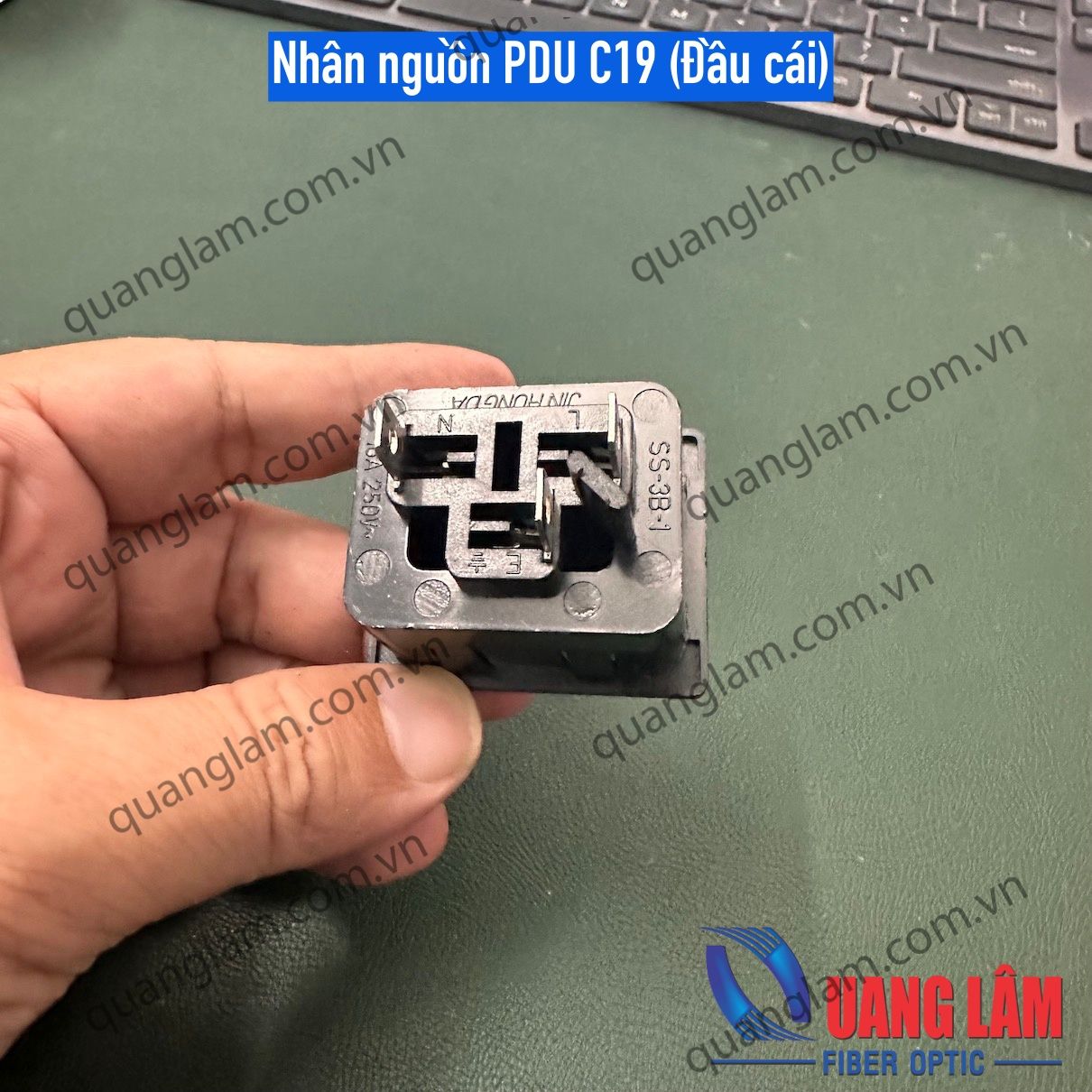 Nhân C19 Female dùng cho PDU – Công ty TNHH Công Nghệ Quang Lâm